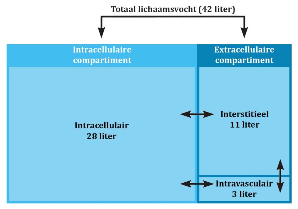 Artikel 5: De Vochtbalans | Optrimize